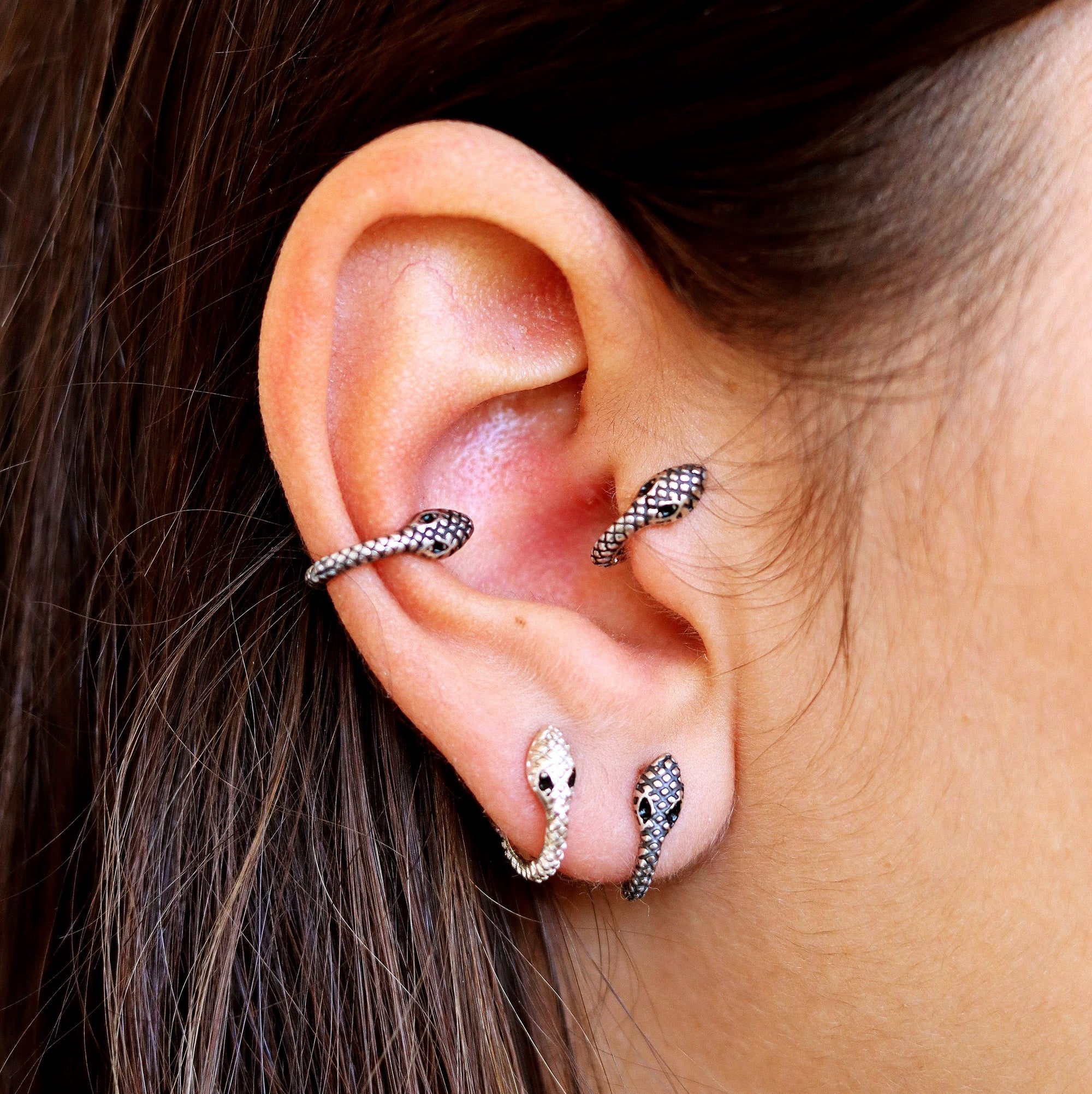 Snake Piercing - Helix, Tragus, Conch
